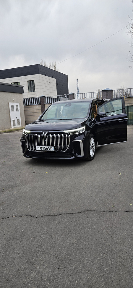 Voyah dreamer premium edition hybrid