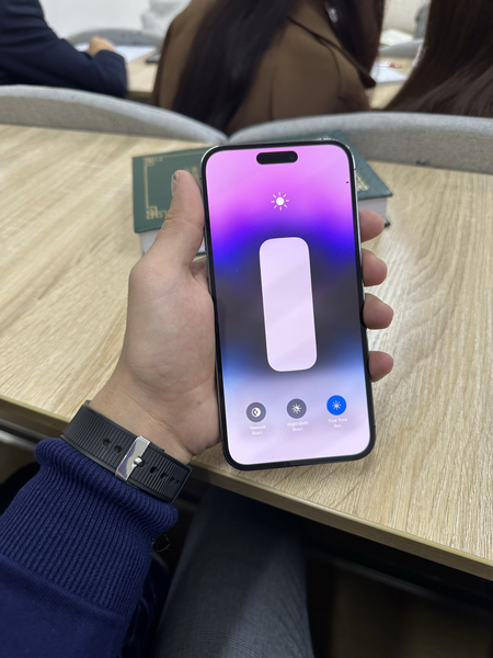 iPhone 14 Pro Max 256 GB