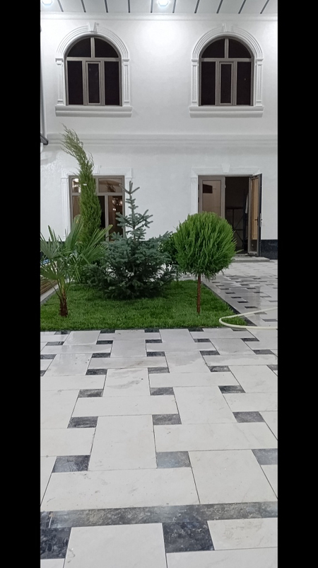 Dekratevni daraxtlar