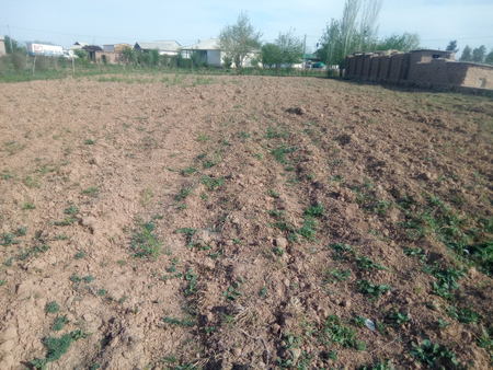 Okitel kafolati bilan