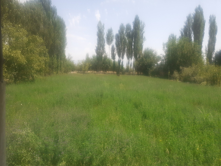 Uchaska pustoy 18 sotik