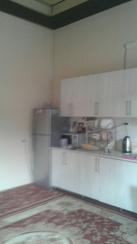 Toshken tumani koʻk terak