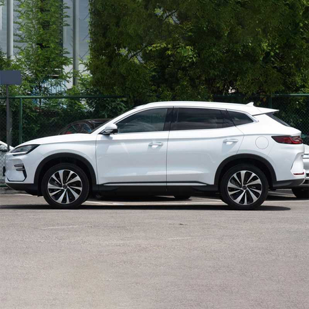 Byd champion gybrid arenda s vikupm 14%
