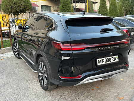 Byd champion 605