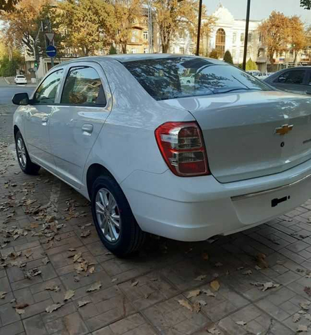 cobalt ribo va nasiyalarsiz