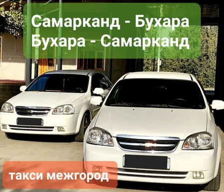 Такси межгород. Поездка в горы: Амирсай, Чимган, Бочка. НЕДОРОГО