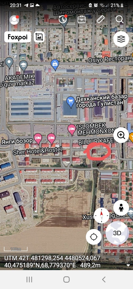 Янги дехкон бозори