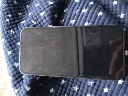 Srochni iphone 13 pro