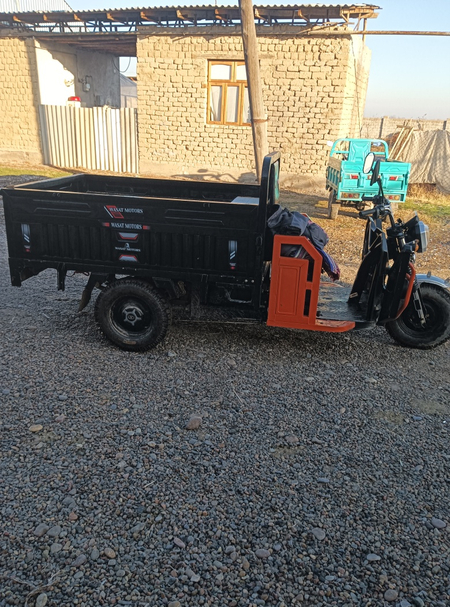 Elektro muravey.