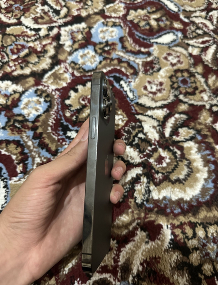 iPhone 13 Pro Max