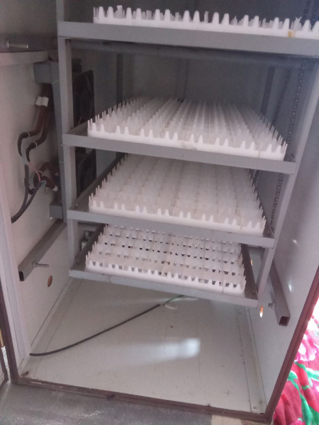 Инкубатр сотилади 220W