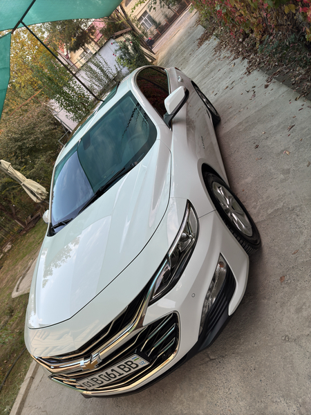 Malibu primier oq 2020