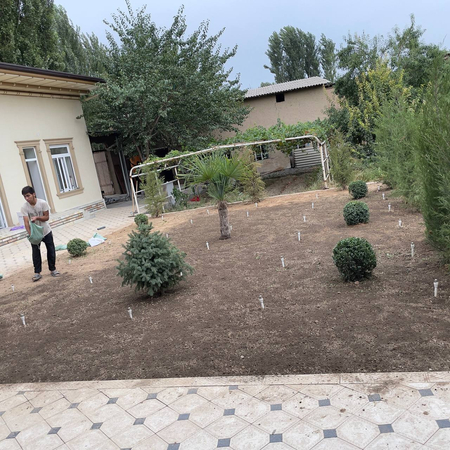 Ruloniy Gazon Ekish Xizmati