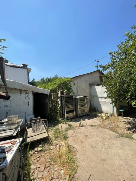 Саракулька СРОЧНО продажа не упустите