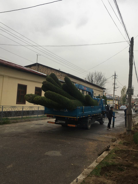 archalaga Kesish forma berish xizmati bor