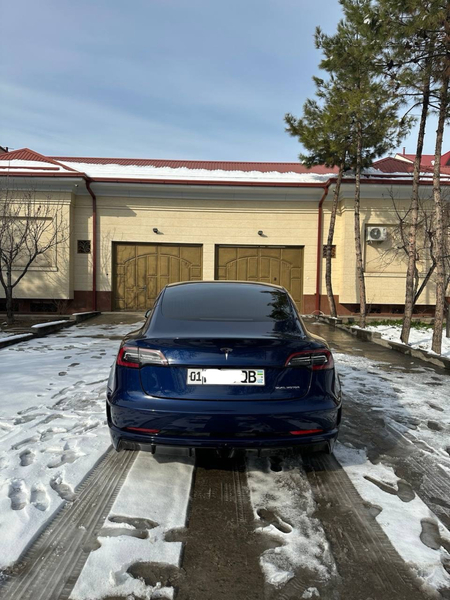 Tesla model 3 dual mator