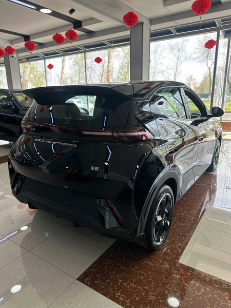 BYD Seagull qora nalichida yili 2024