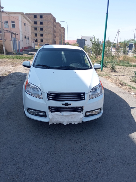 Нексия 3 радной краска
