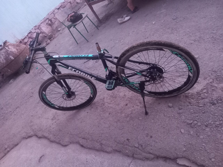 Velosepet sotiladi