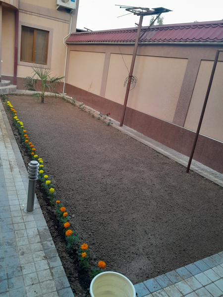 Sifatli gazon ekamiz