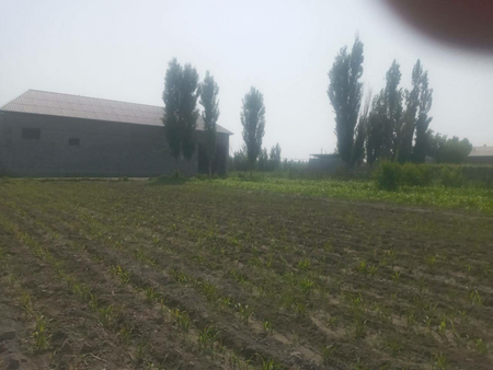 Srochniy sotiladi