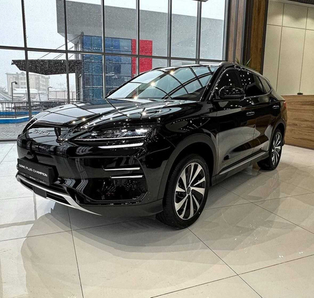 BYD Son Plus 2024