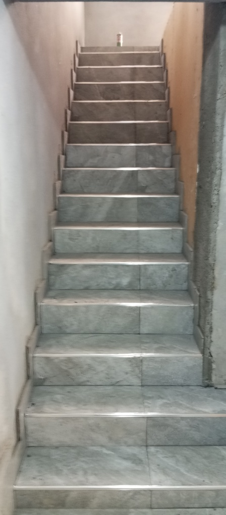 Kafel teramiz xarxil turdagi