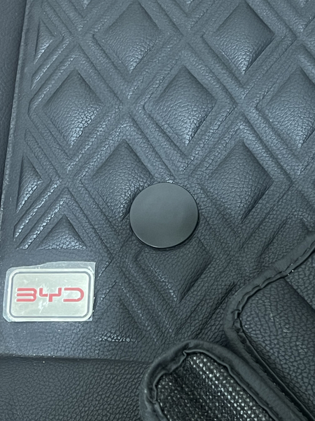 BYD chanpion polik zavod