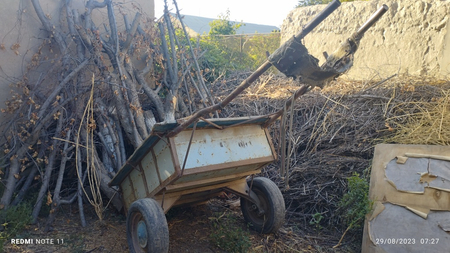 eshak bilan arava birgalikda sotiladi