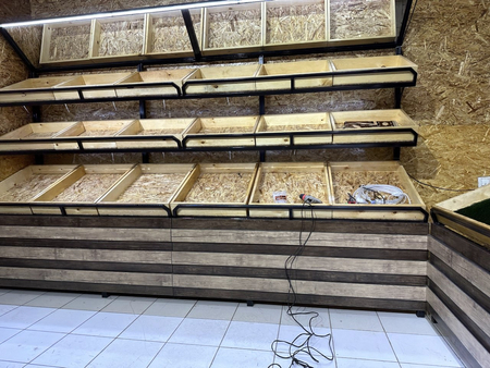 Xolmeva rastasi 3.30ga 2.5 boyi eni 80sm\\nEni 80 sm