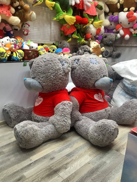 Teddy va boshqa yumshoq oʻyinchoqlar