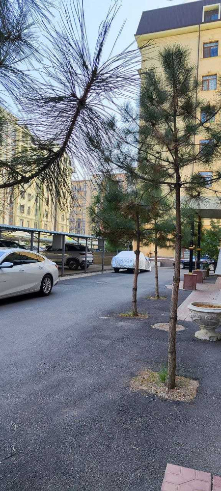 Цокольное помещение ул.Паркент мост Тапоич 45 м² евроремонт 2-линия