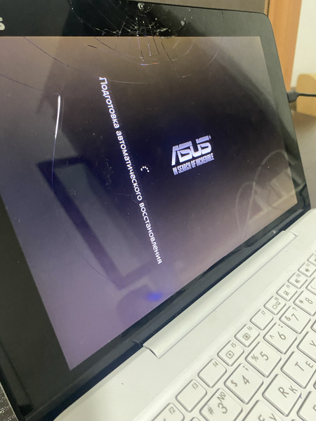 Asus neetbook srochno
