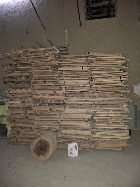 Lombozga chronic bor