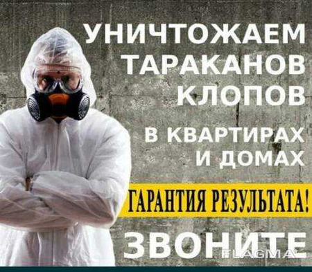 Дезинфекция | Уничтожение насекомых | Dezinfeksiya | Клопы Тараканы