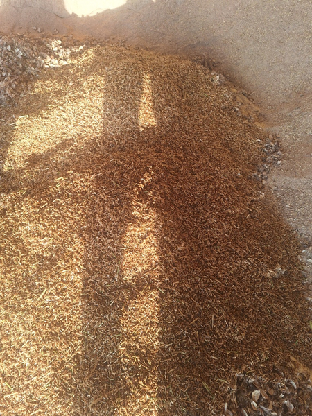 Chorva mollari uchun moyka bugdoy