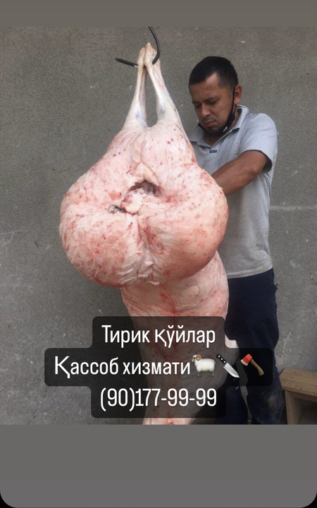 Тирик қўйлар, қассоб, калла поча, хасип.