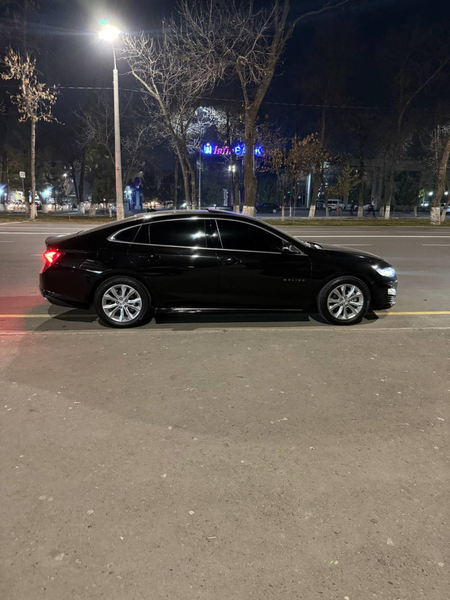Malibu 2 2022 premier