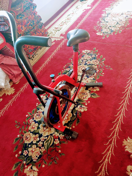 Trenajorniy velosiped