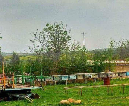 Продается комплекс по выращиванию фруктов. Все детали описаны в фото.