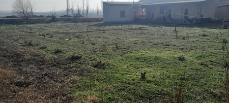 Piskent tumani Mingtepada uy sotiladi