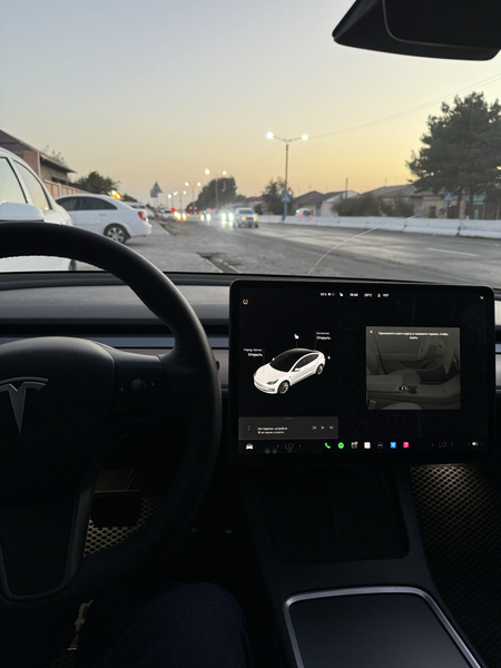 Tesla model 3 dual mator