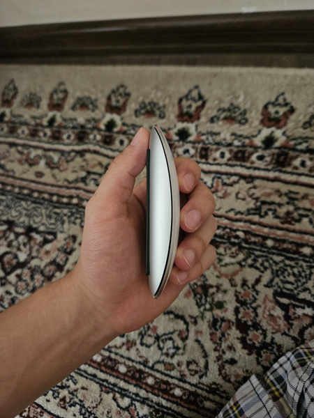apple magic mouse 2
