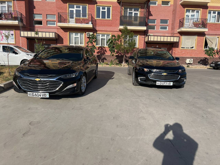 RENT CAR (Кунлик ижарага автомобил)