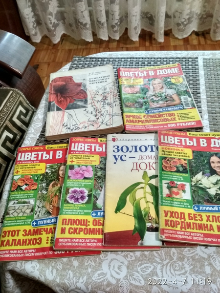 Комнатные цветочные растения и брошюры 