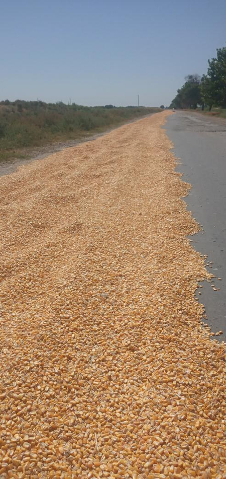 70 T makkayi bor