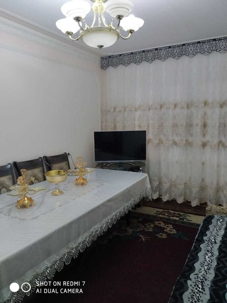 АРЕНДА 3х/2/5 Кора-камиш 2/5