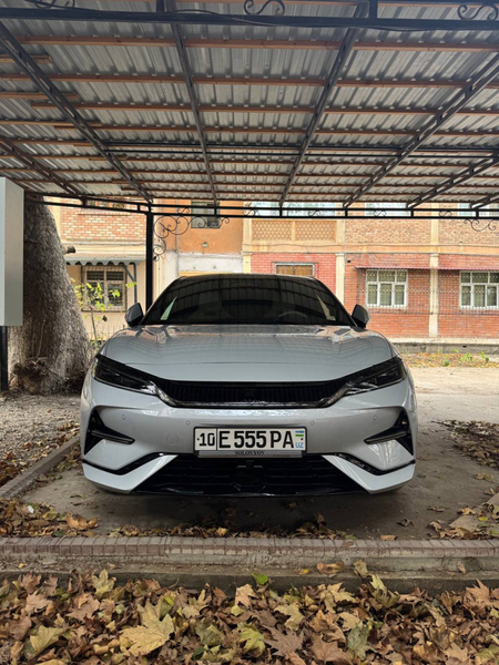 Byd song L в идеале