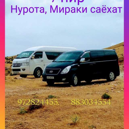Экскурсия, Туризм, 7 пир, Встречать гостей ,Закс, Кортедж