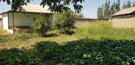 Uy hovli sotiladi.